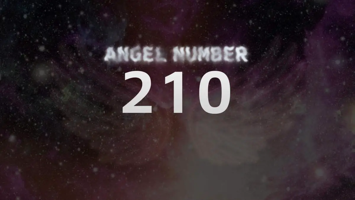 Angel Number 210: Meaning and Significance - Attract Your King