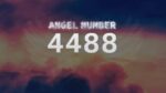 Angel Number 222222: What Does It Mean and How to Interpret It ...